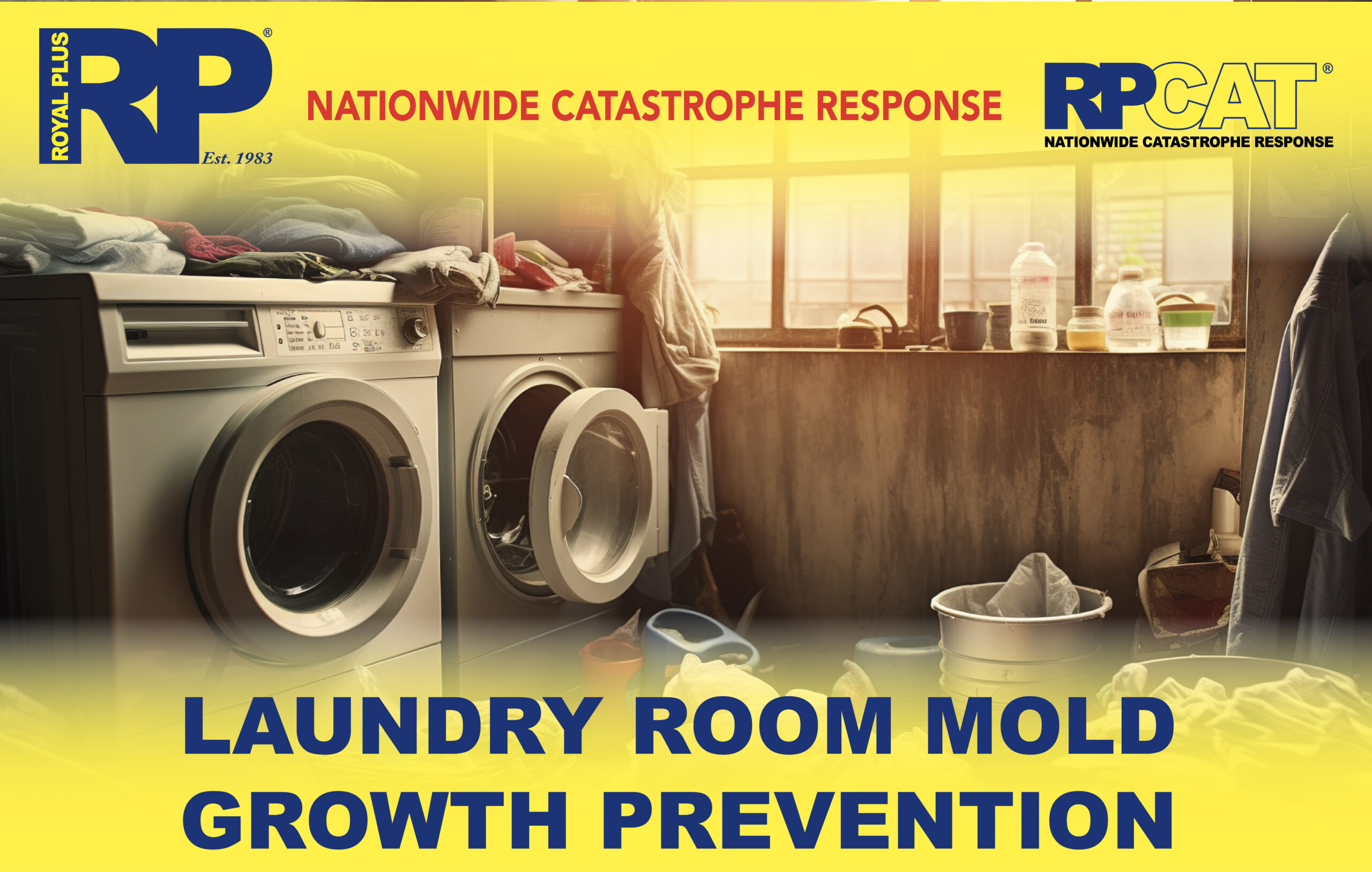 Laundry Room Mold Growth Prevention - Royal Plus