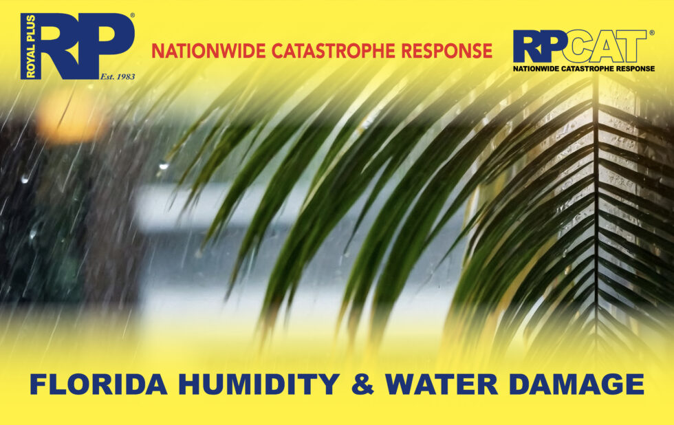 Florida Humidity & Water Damage: A Risky Mix - Royal Plus