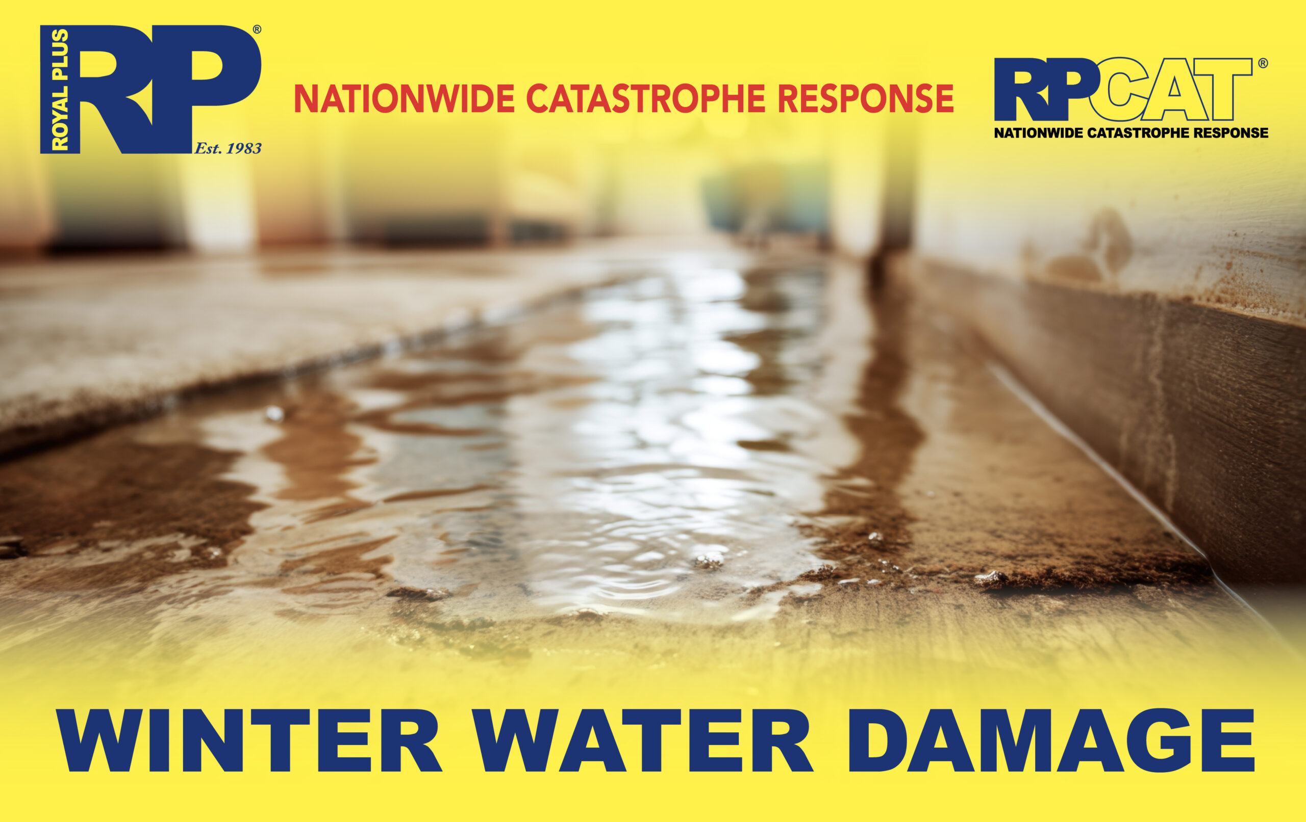 Winter Water Damage - Royal Plus